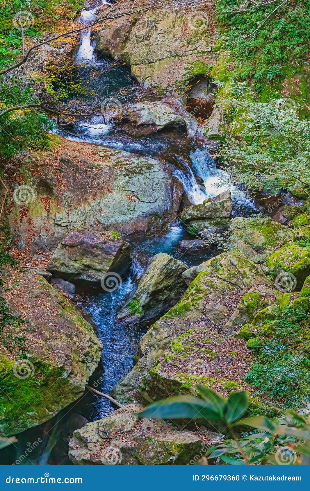 Autumn mountain stream stock photo. Image of water, river - 296679360