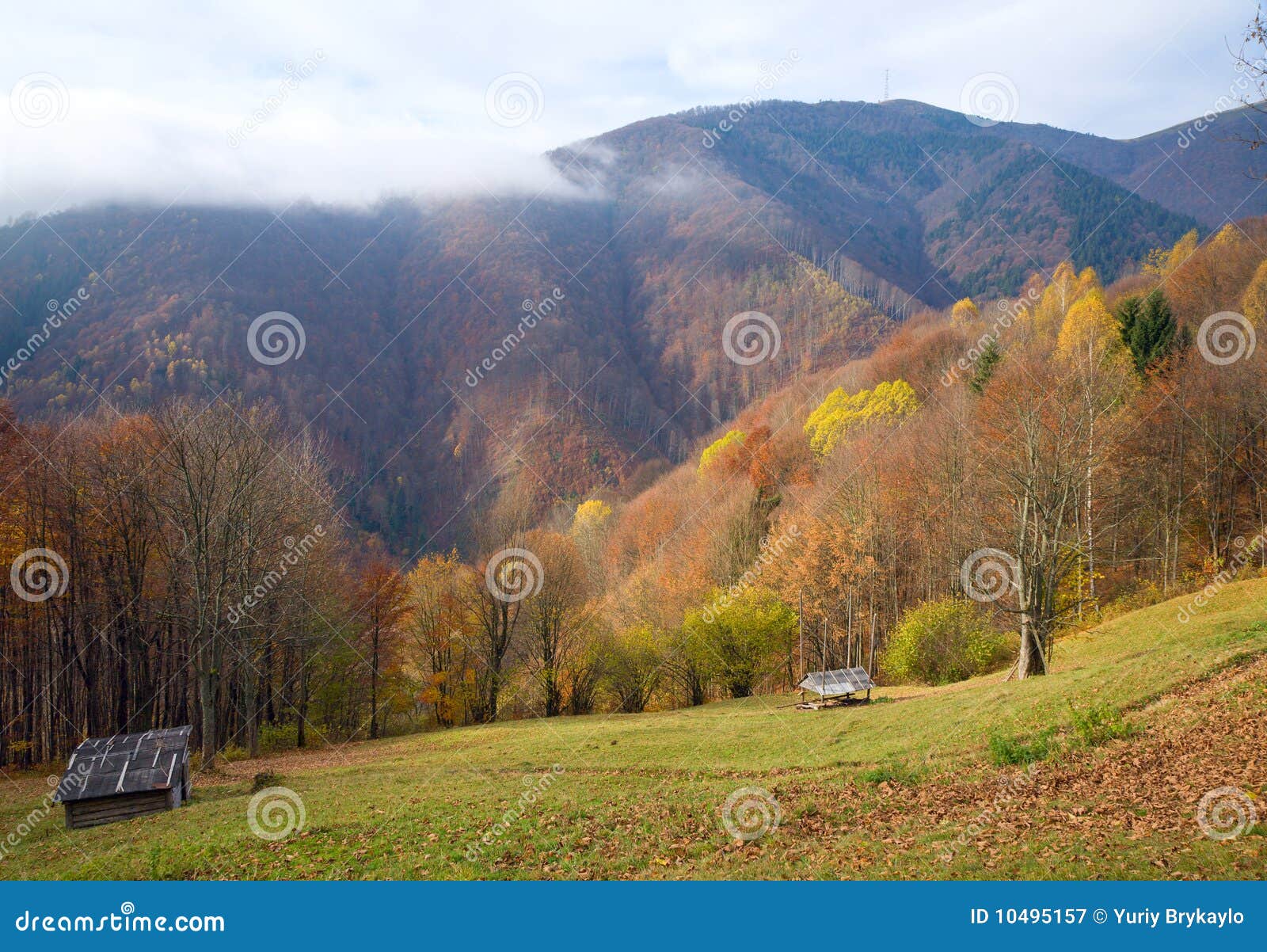 Autumn mountain view stock image. Image of outdoor, clearing - 10495157