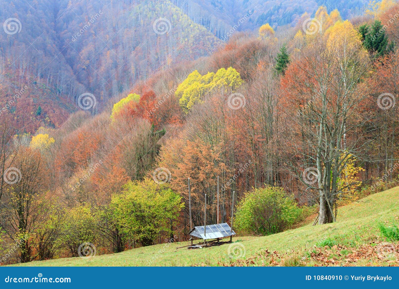 Autumn mountain view stock photo. Image of nature, season - 10840910