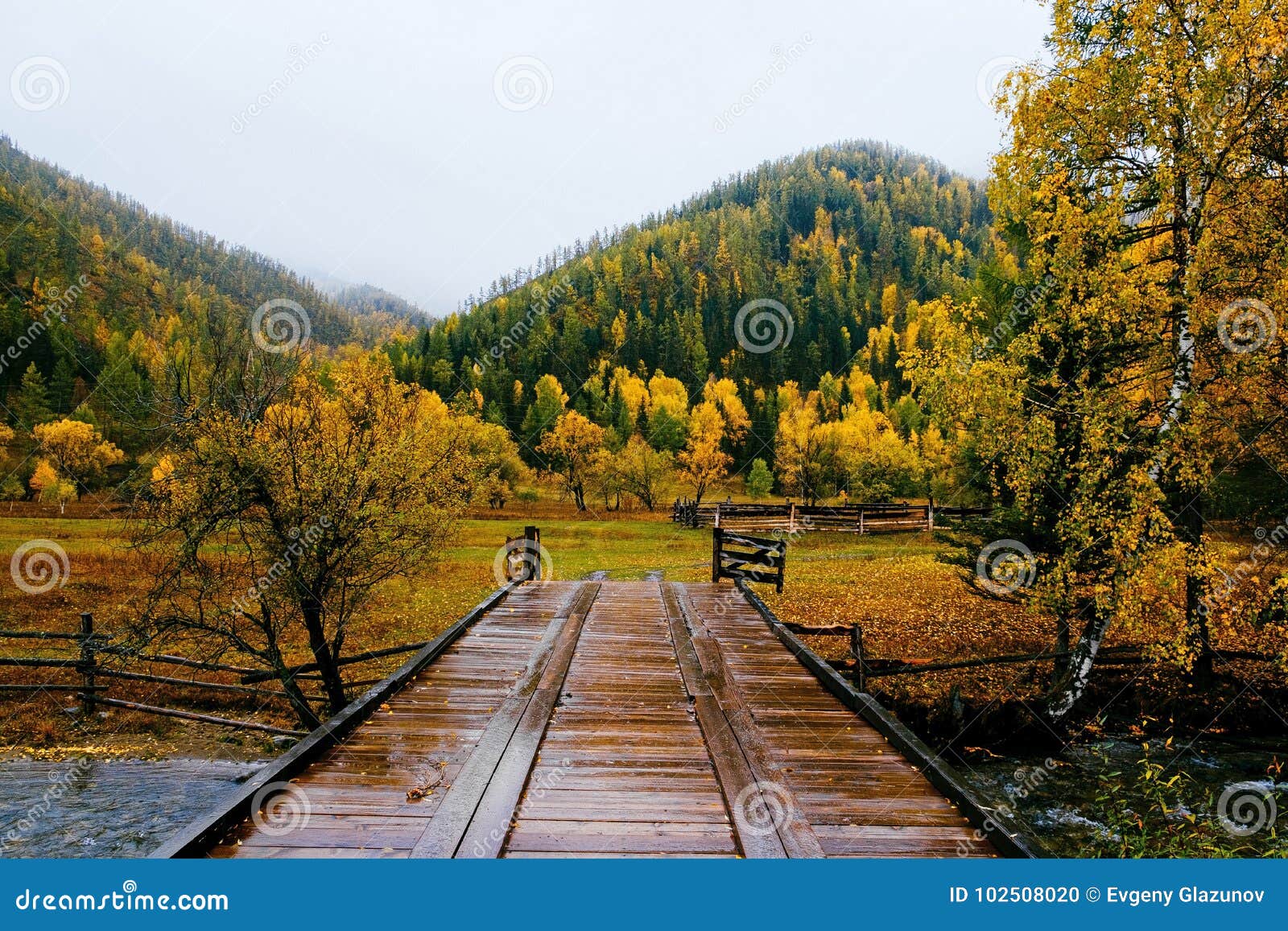 Autumn in the Mountains. Beautiful Mountain Scenery. Autumn Mood. Stock ...