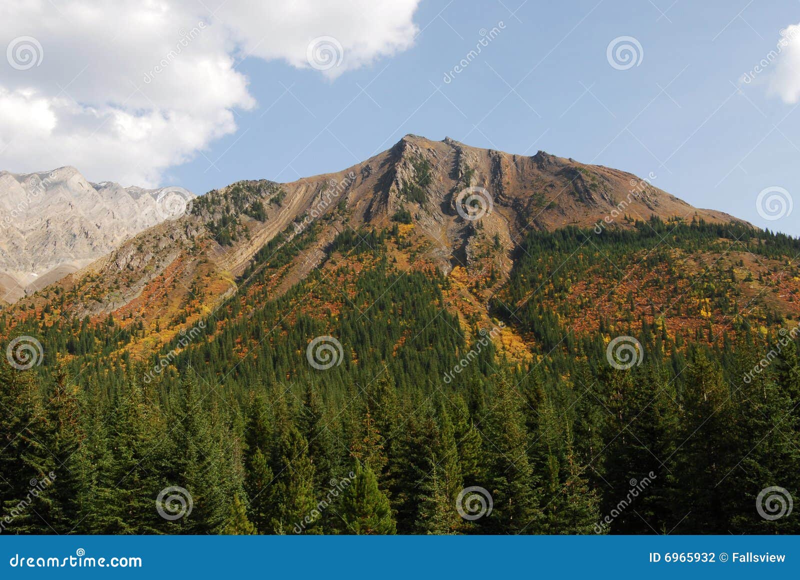 Autumn Mountains and Forests Stock Photo - Image of fall, larch: 6965932