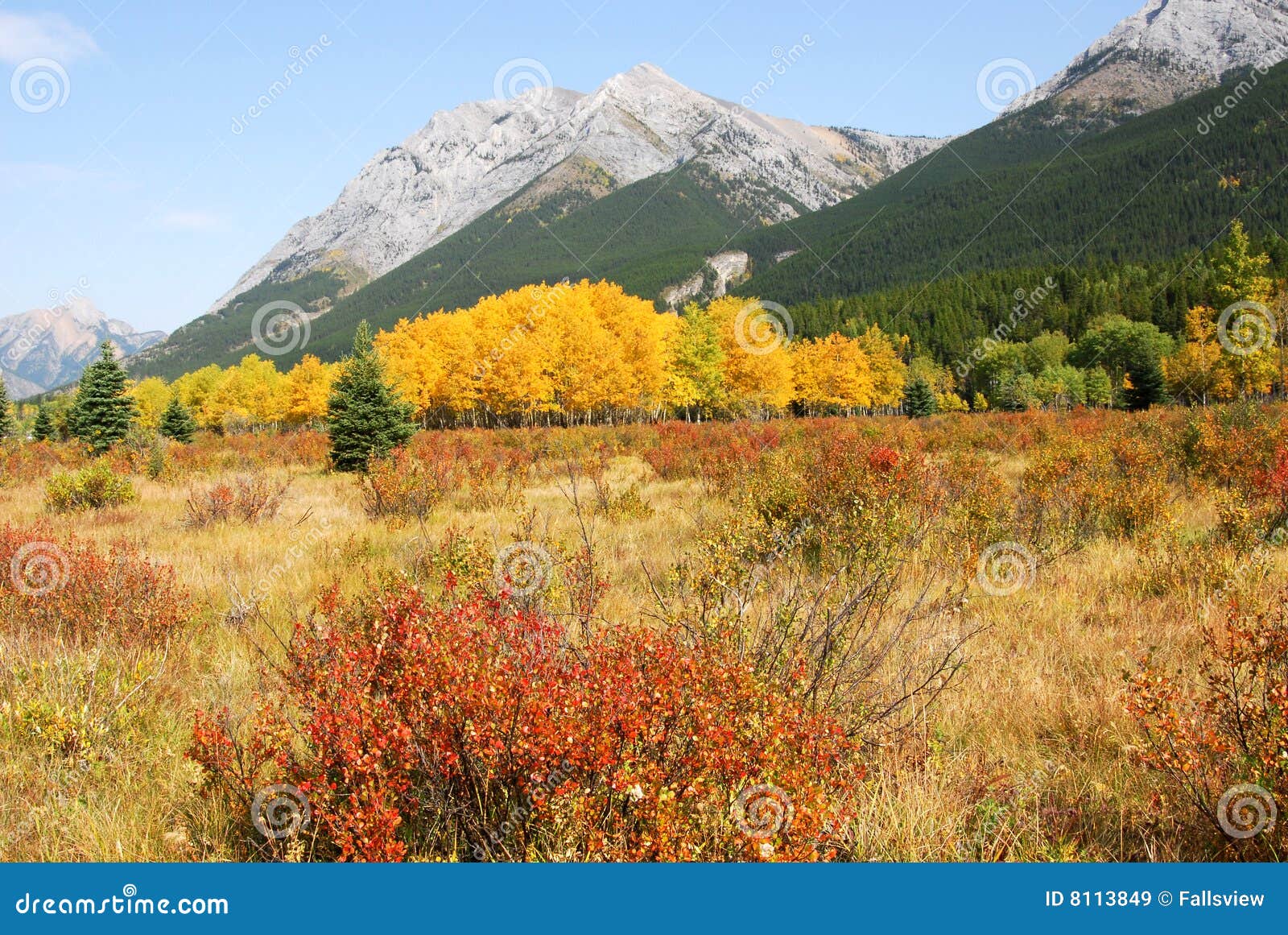 Autumn mountains landscape stock image. Image of meadow - 8113849