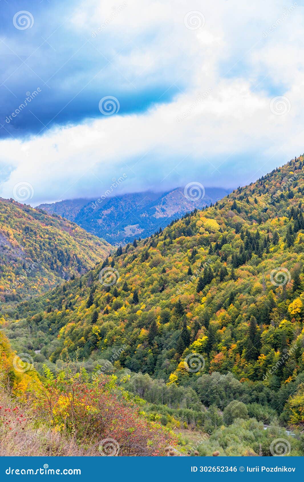 Autumn Mountains with Yellow-green Trees Stock Photo - Image of trees ...