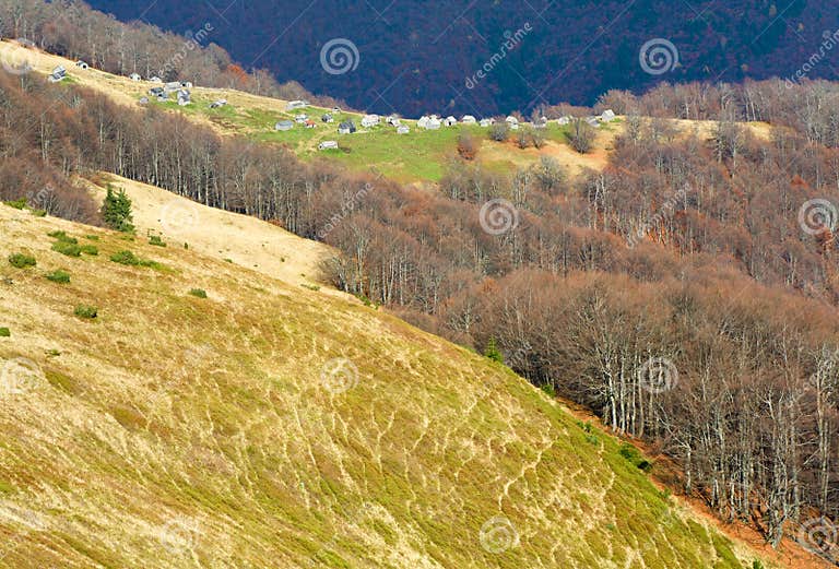 Autumn mountainside view stock image. Image of forest - 10495313