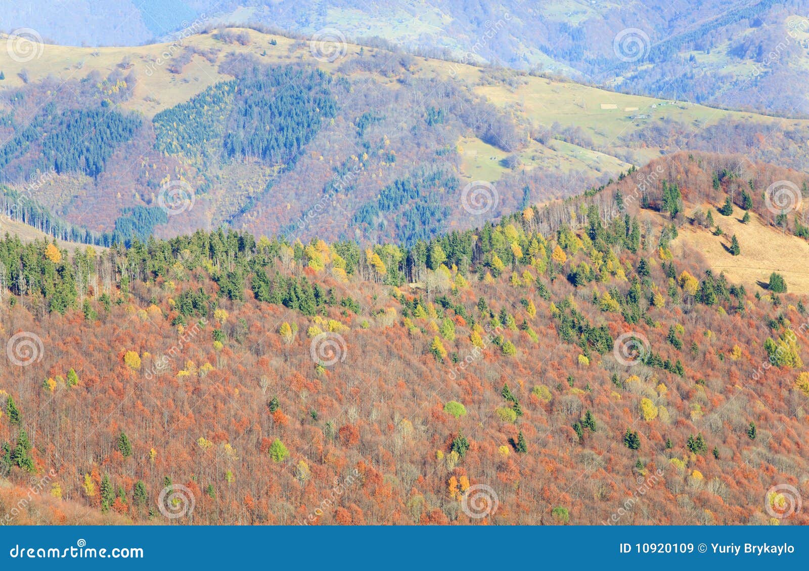 Autumn mountainside view stock image. Image of forest - 10920109