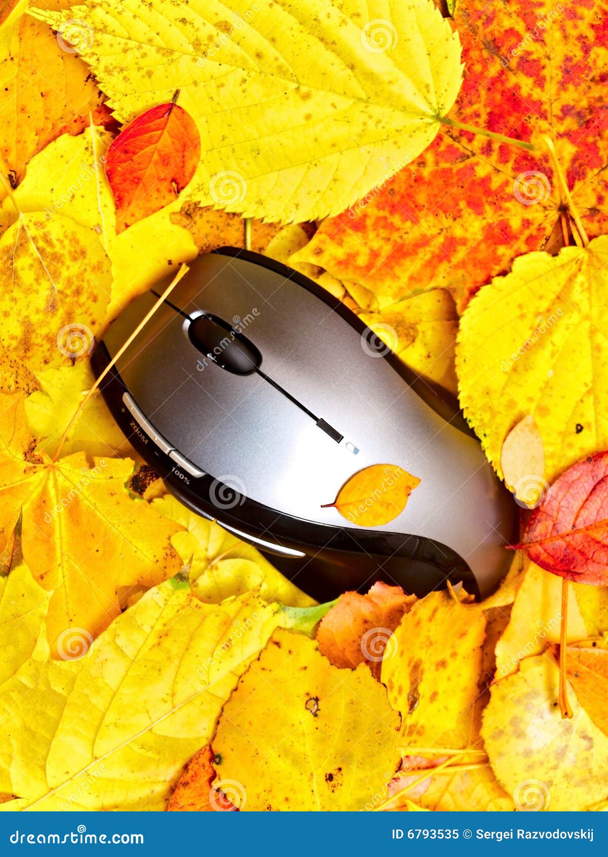 Autumn mouse stock image. Image of button, electronics - 6793535