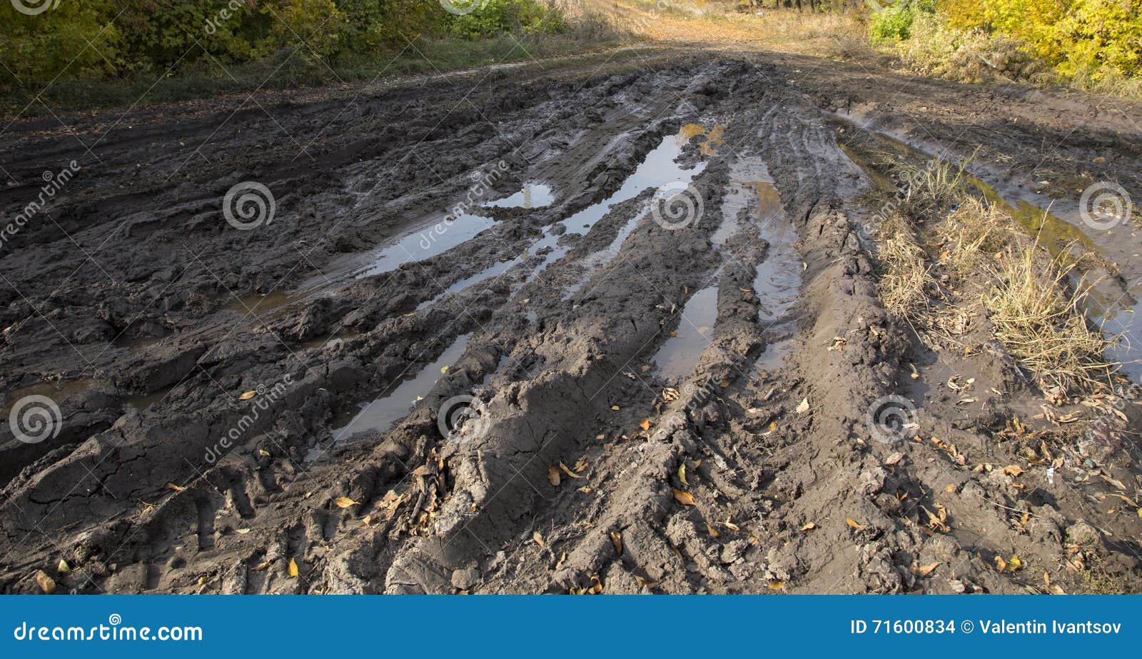 Autumn mudslides stock photo. Image of water, landscape - 71600834