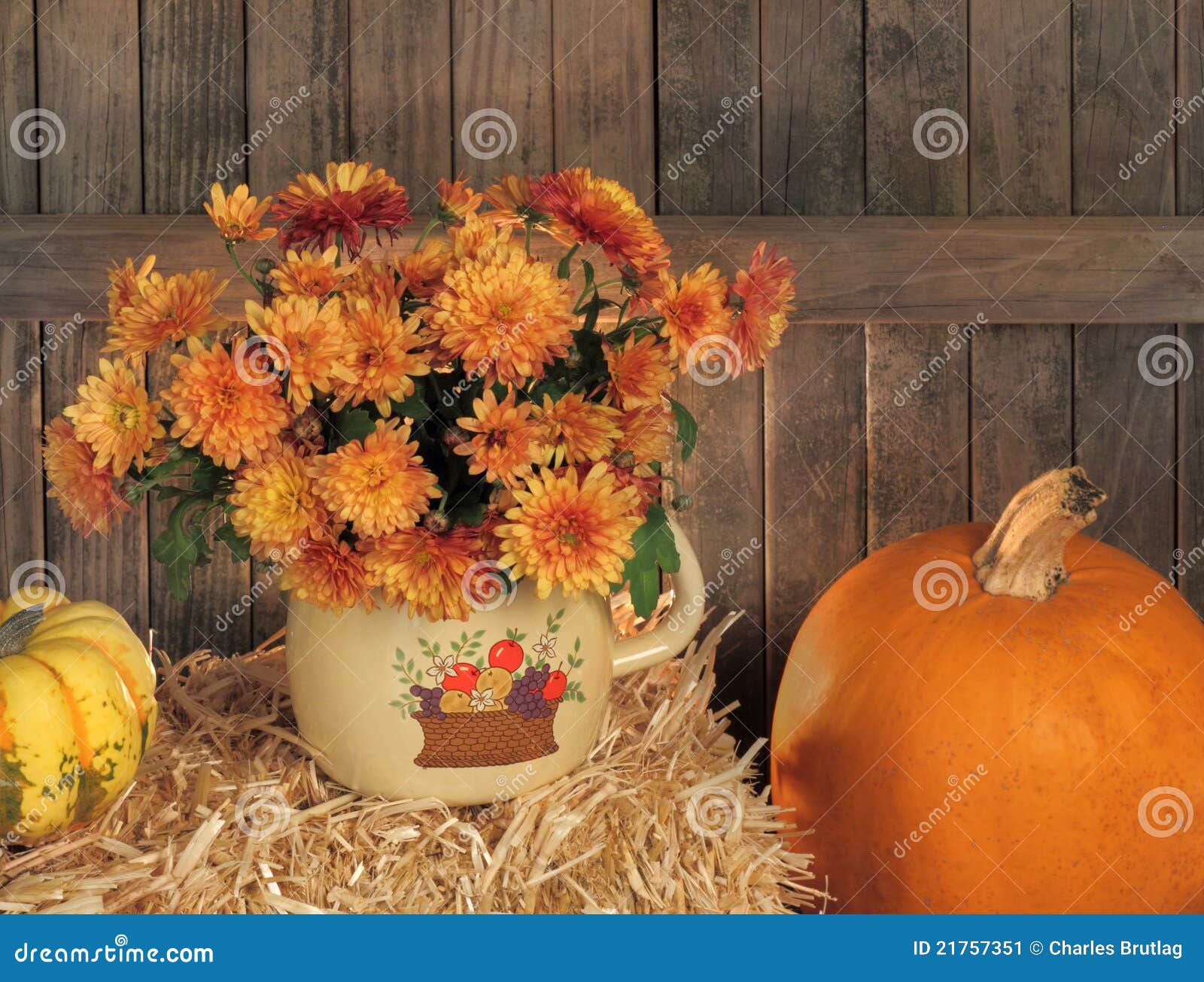 Autumn Mums in a Pot stock image. Image of back, weathered - 21757351
