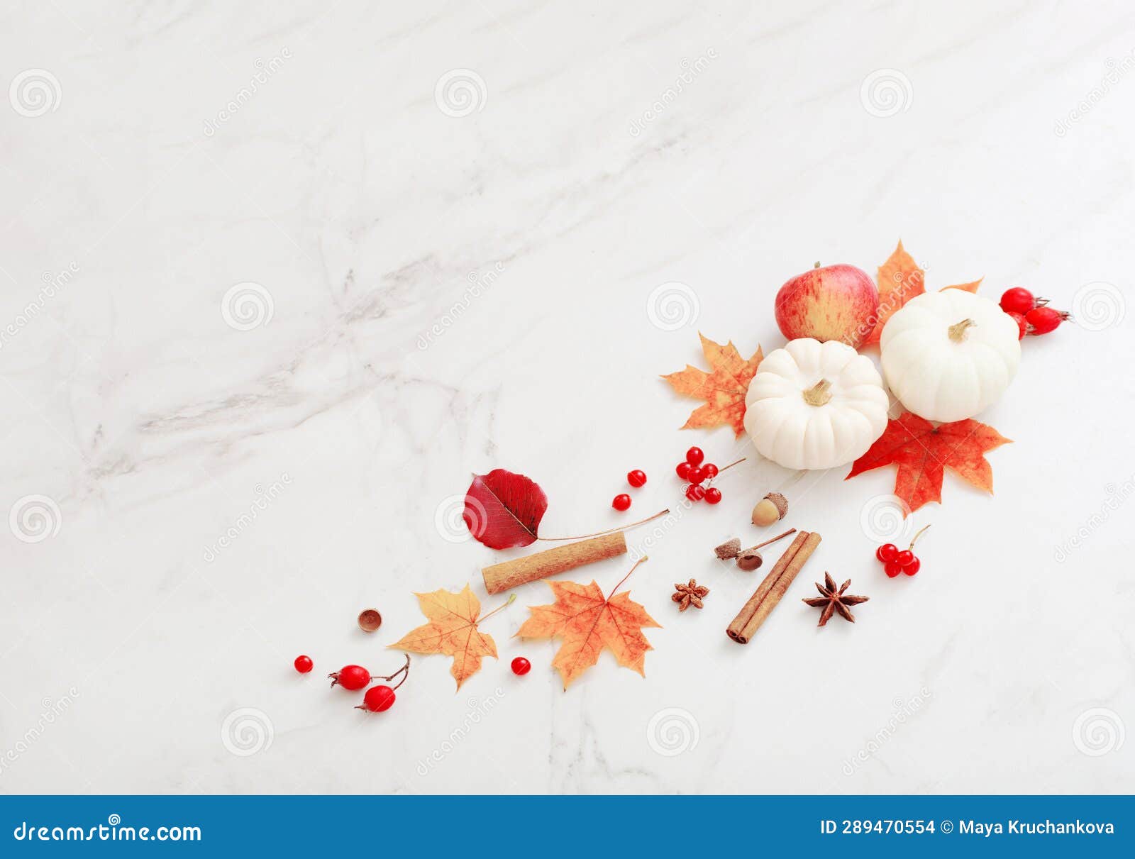 Autumn Natural Decor on White Marble Background Stock Photo - Image of ...