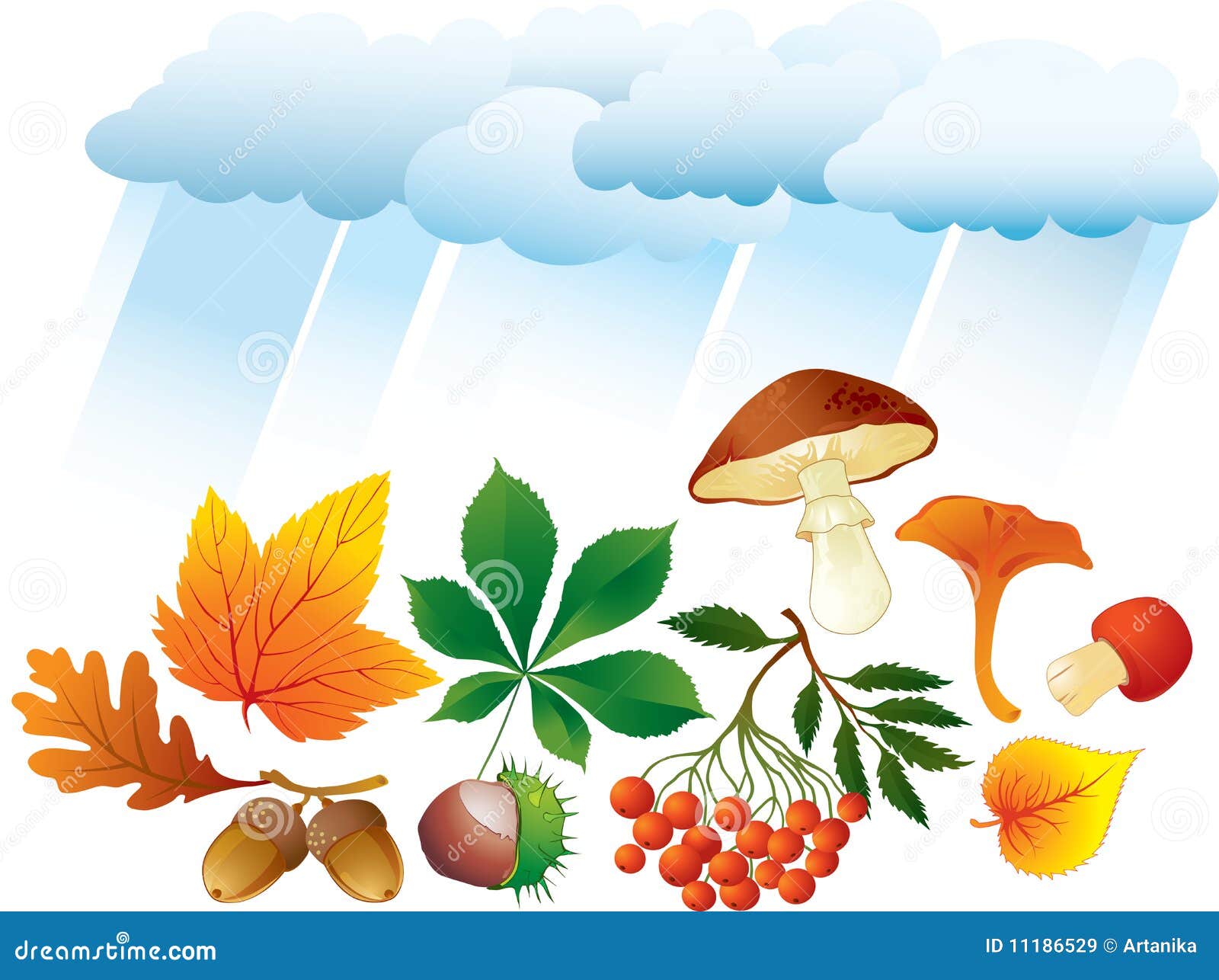 Autumn natural objects stock vector. Illustration of natural - 11186529