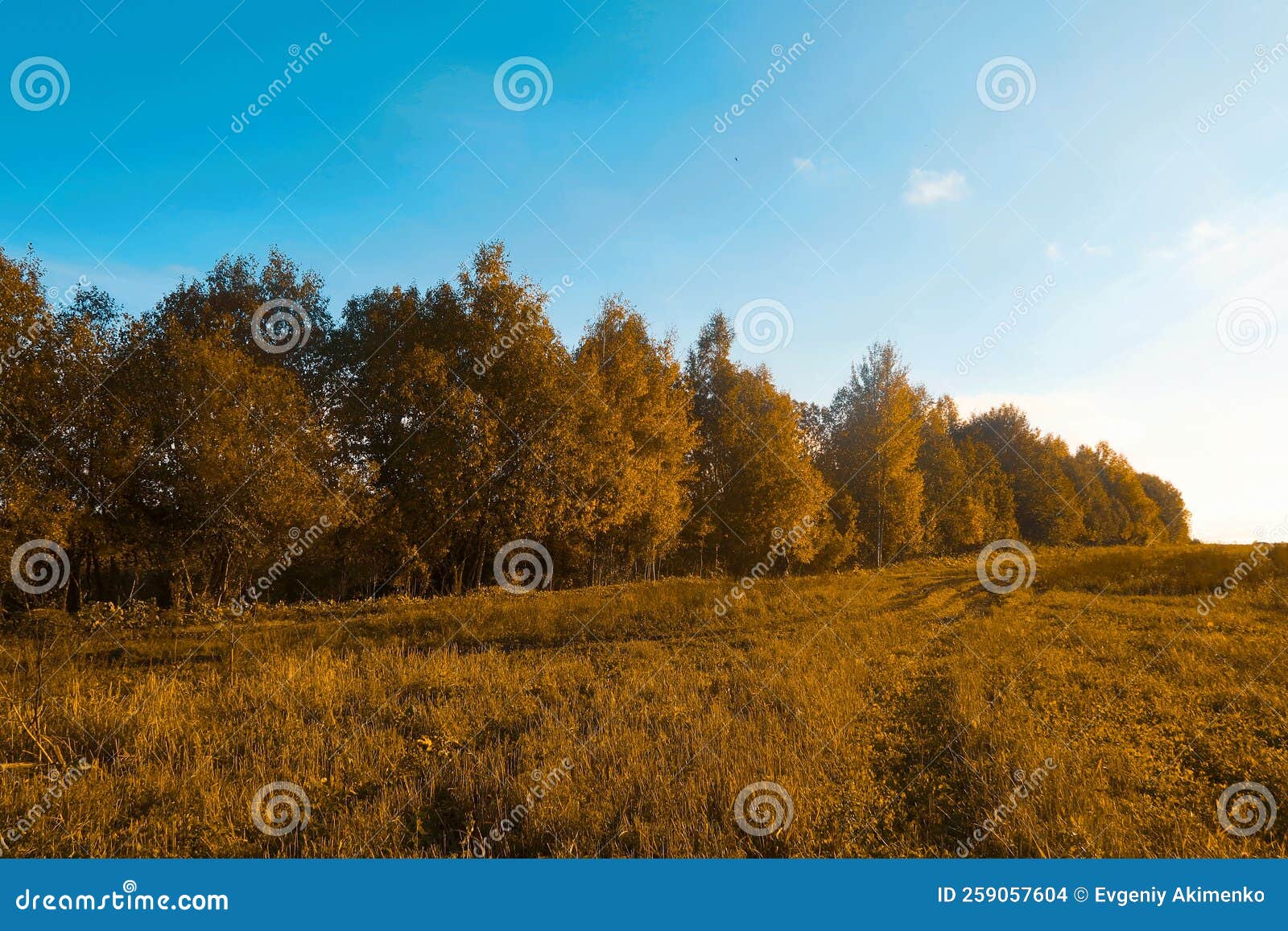 Autumn Nature, Beautiful Landscape of the Forest and Fields Stock Photo ...