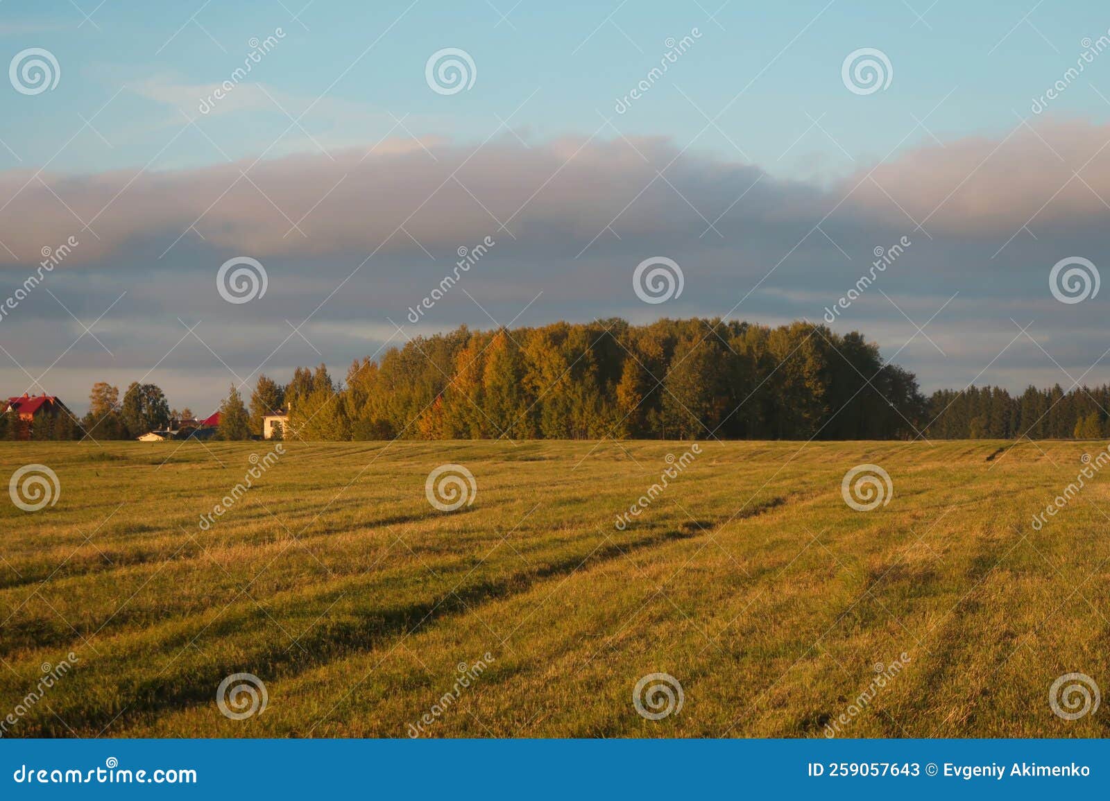 Autumn Nature, Beautiful Landscape of the Forest and Fields Stock Image ...