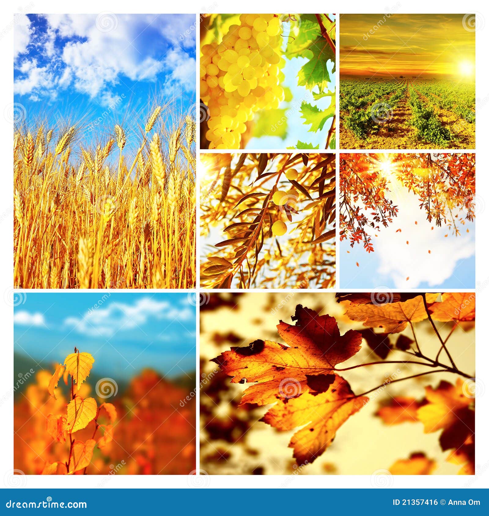 Autumn nature collage stock photo. Image of beautiful - 21357416