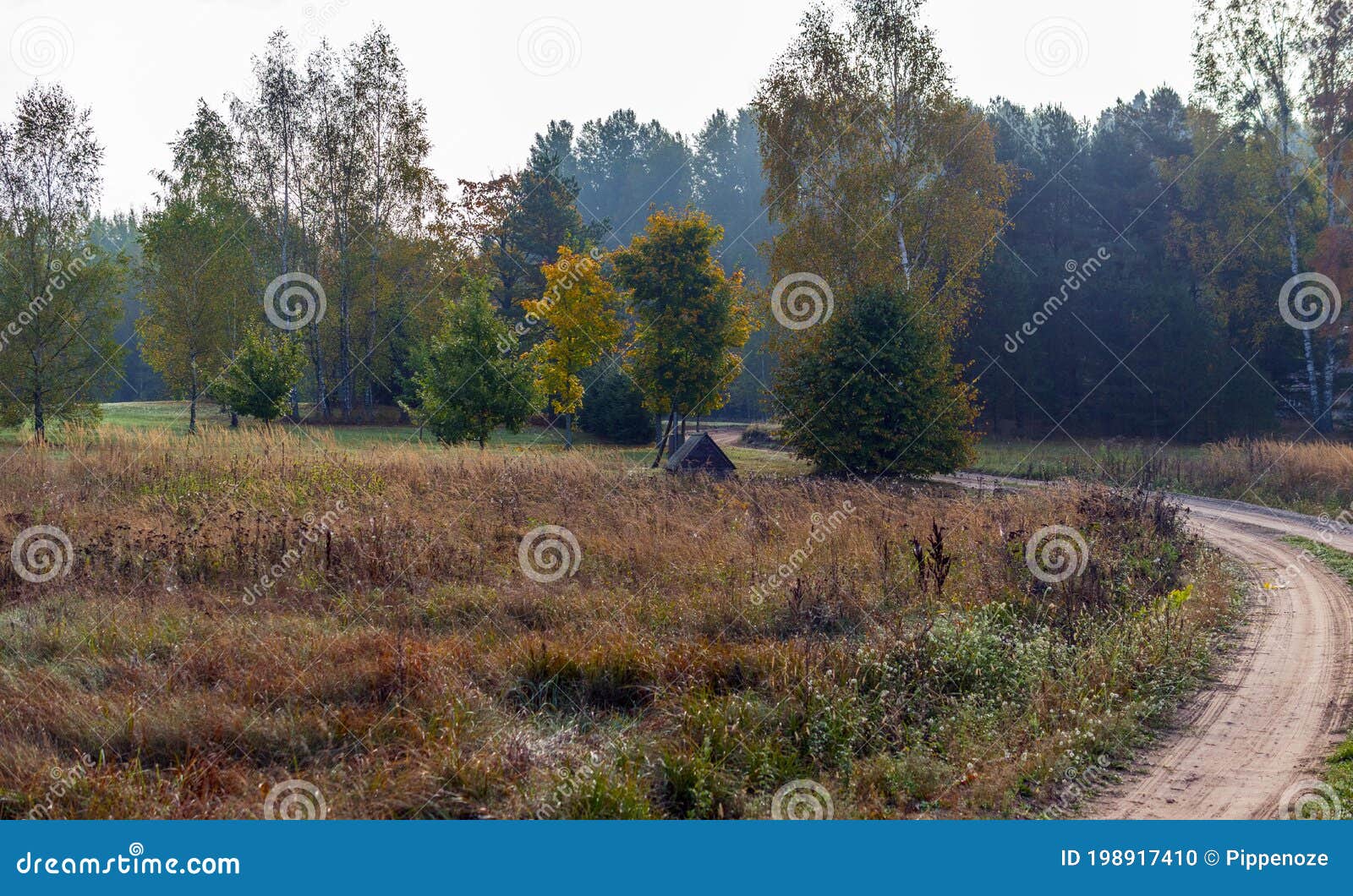 Autumn Nature Landscape with the Rural Road in it. Stock Photo - Image ...