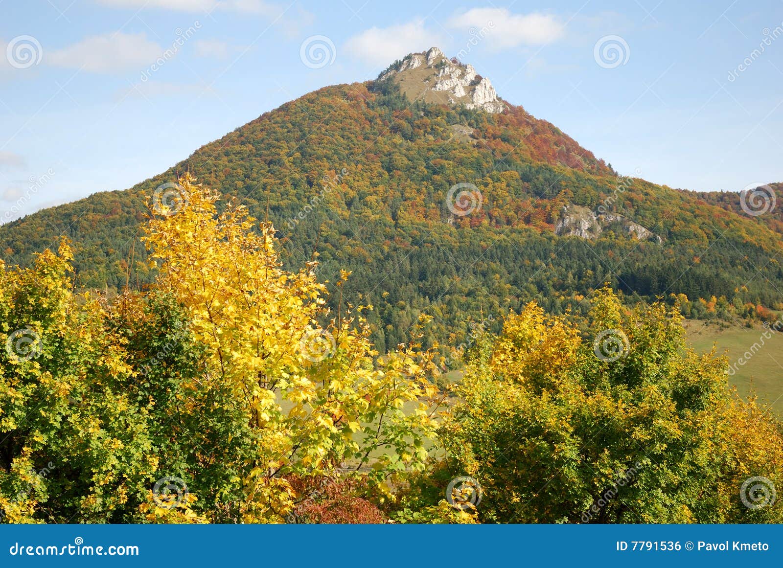 Autumn nature in Slovakia stock photo. Image of leaf, branch - 7791536