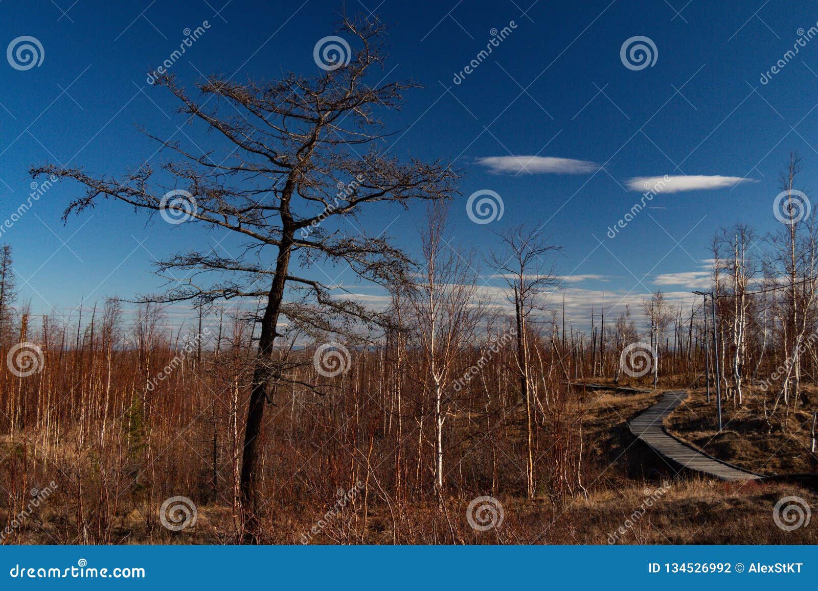 Autumn Nature of the Taimyr. Norilsk Stock Photo - Image of scenic ...