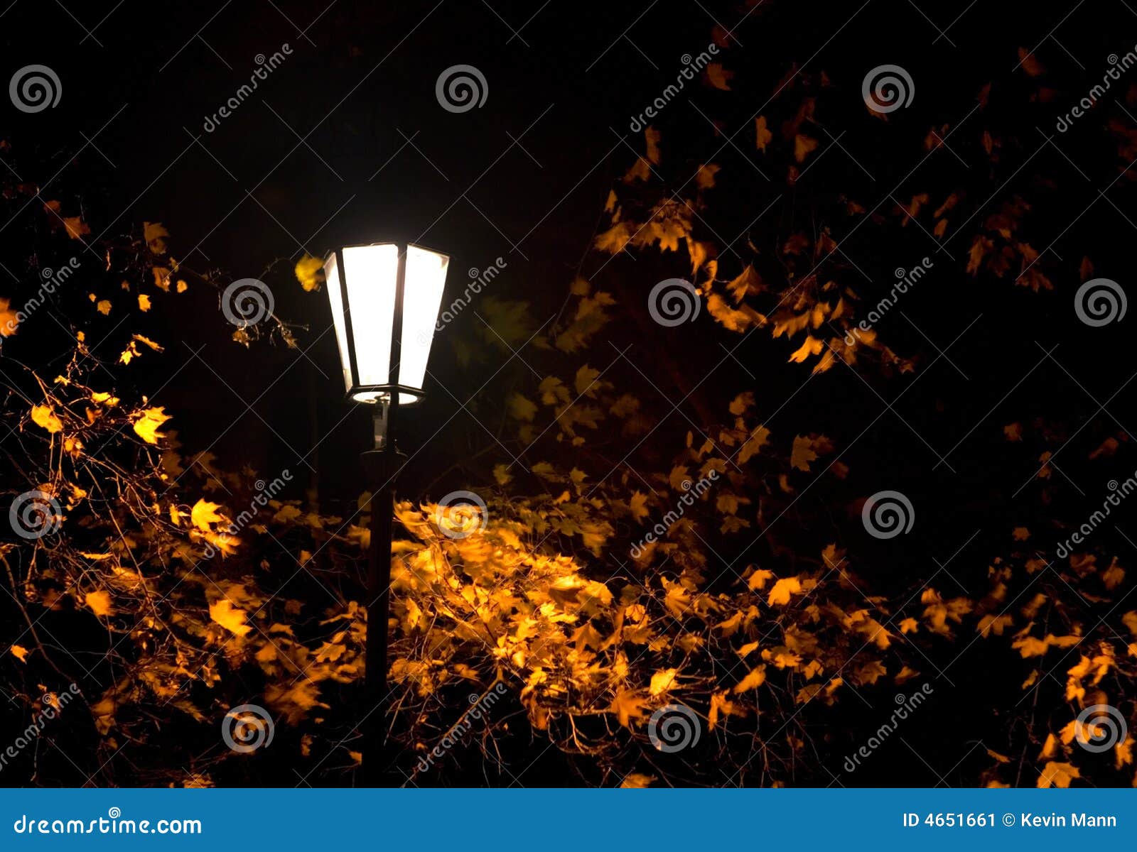 Autumn Night Park. Light Of Lanterns In The Night Park. Background ...