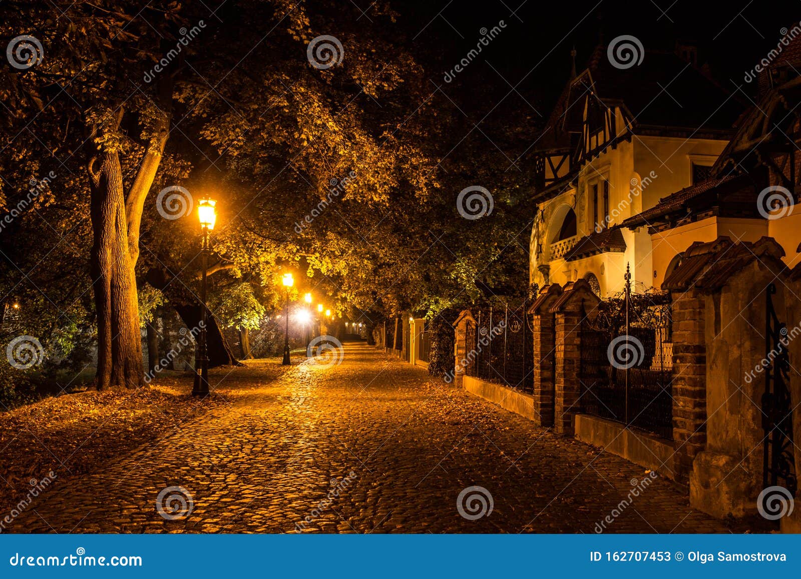 Autumn Night Park. Light of Lanterns in the Night Park. Background ...
