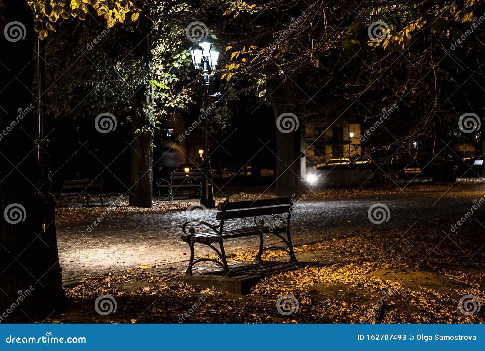 Autumn Night Park. Light of Lanterns in the Night Park. Background ...