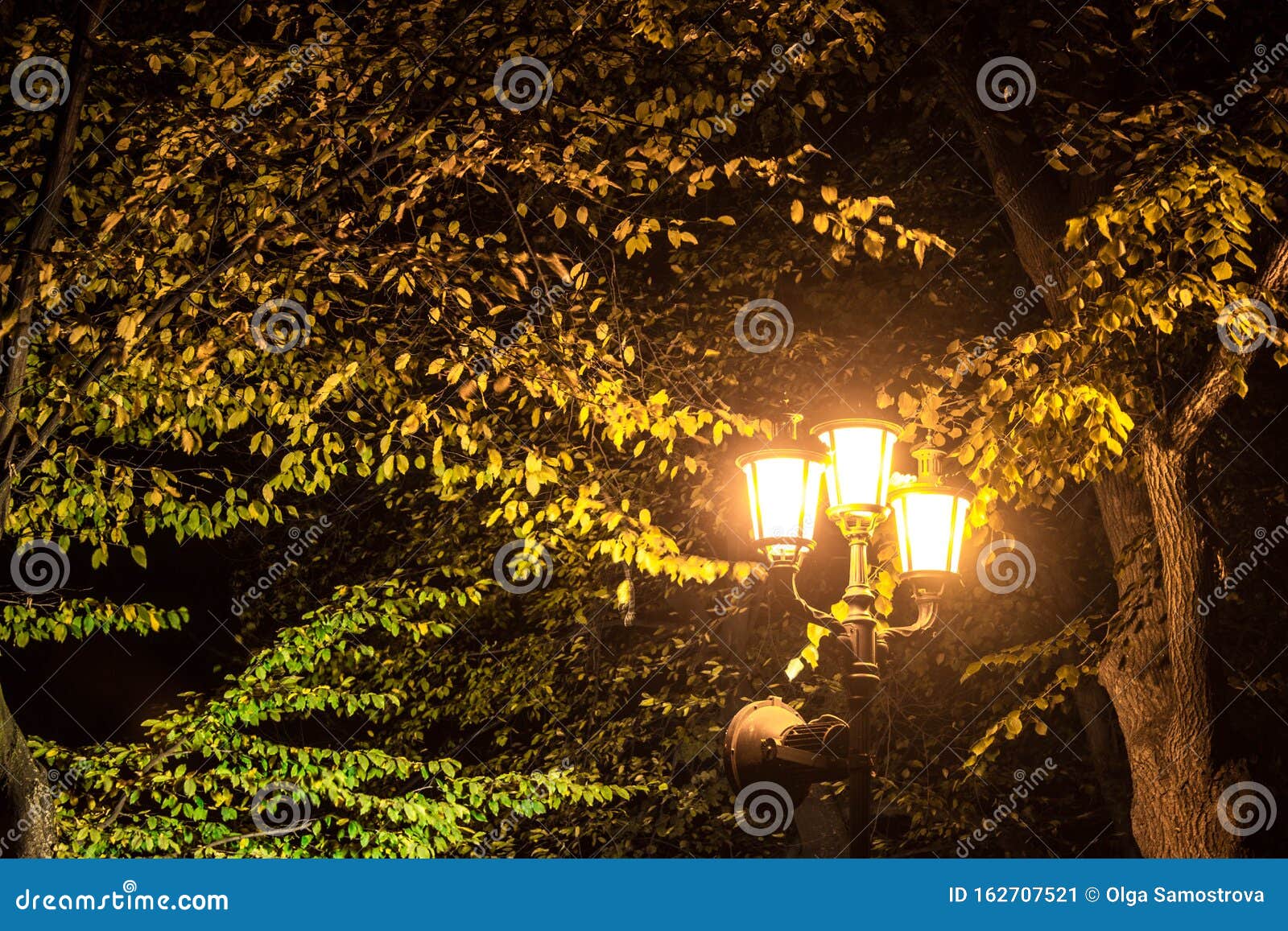 Autumn Night Park. Light Of Lanterns In The Night Park. Background ...