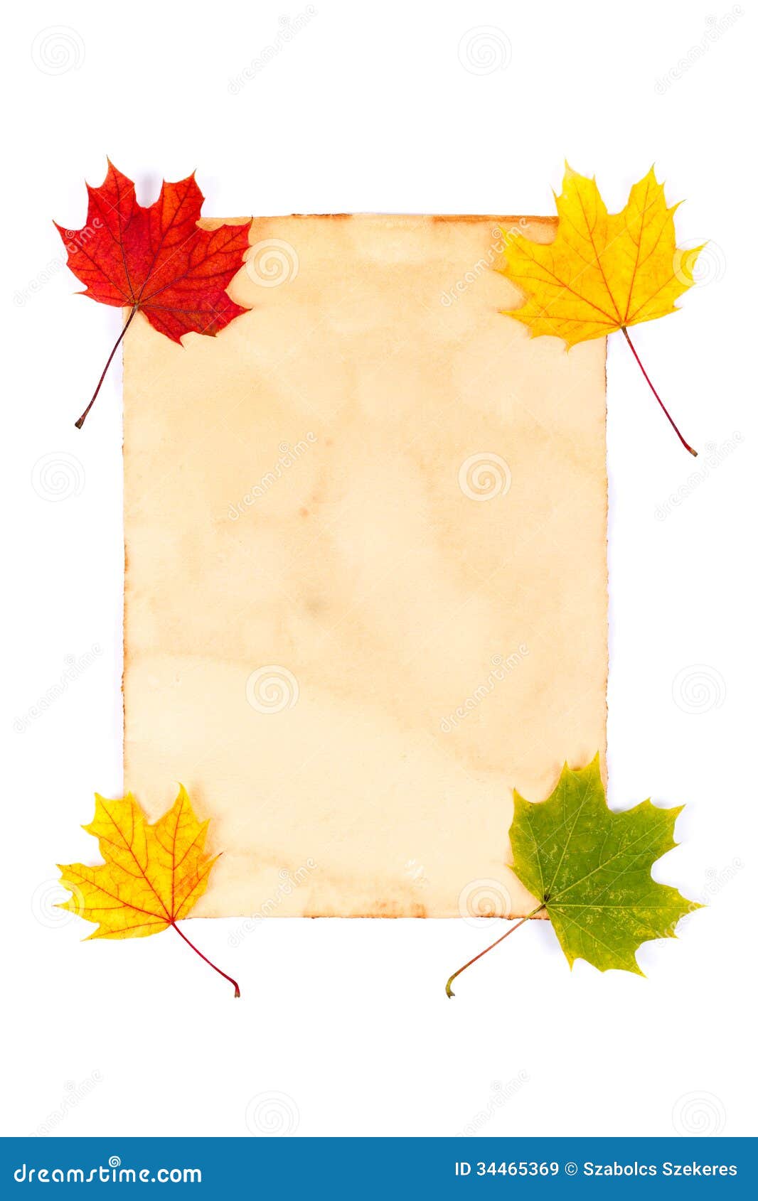 Autumn notes stock image. Image of leaf, orange, paper - 34465369