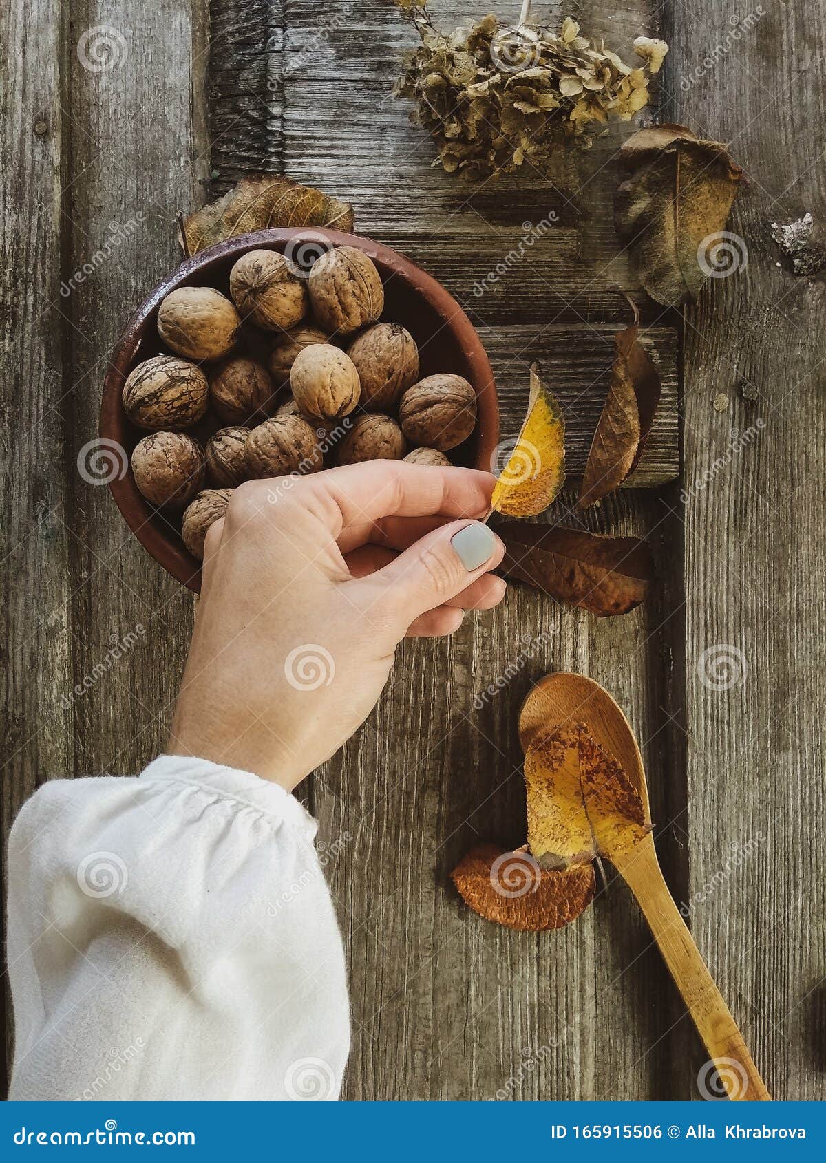 Flatus Stock Photos - Download 8 Royalty Free Photos