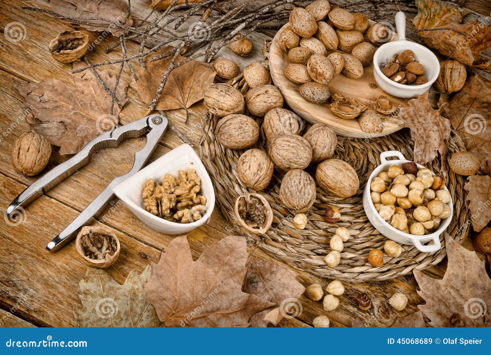 Autumn nuts stock image. Image of open, hazelnuts, full - 45068689