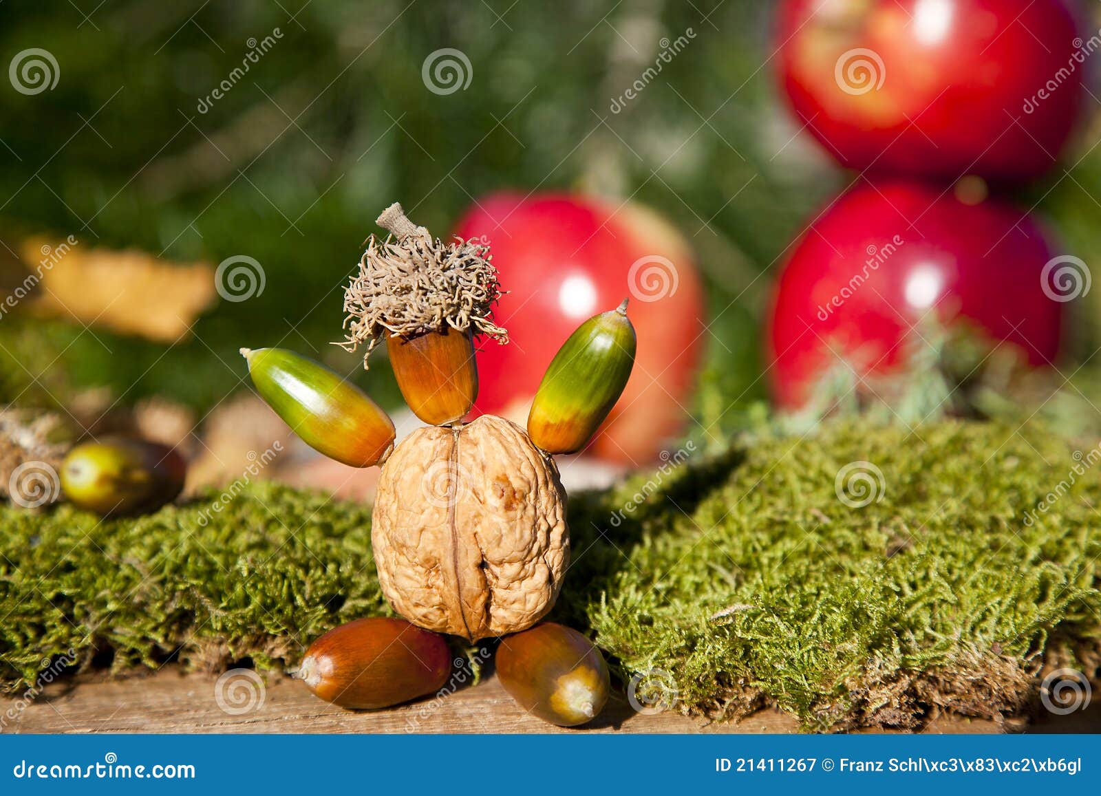 Autumn nuts decoration stock image. Image of acorns, season - 21411267