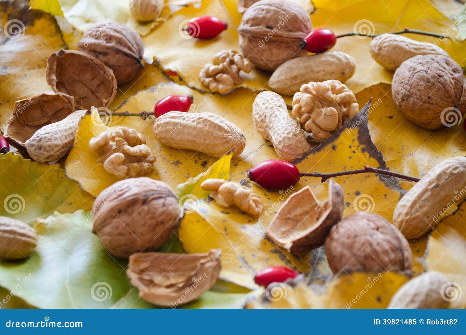 Autumn nuts stock image. Image of nuts, food, almonds - 39821485