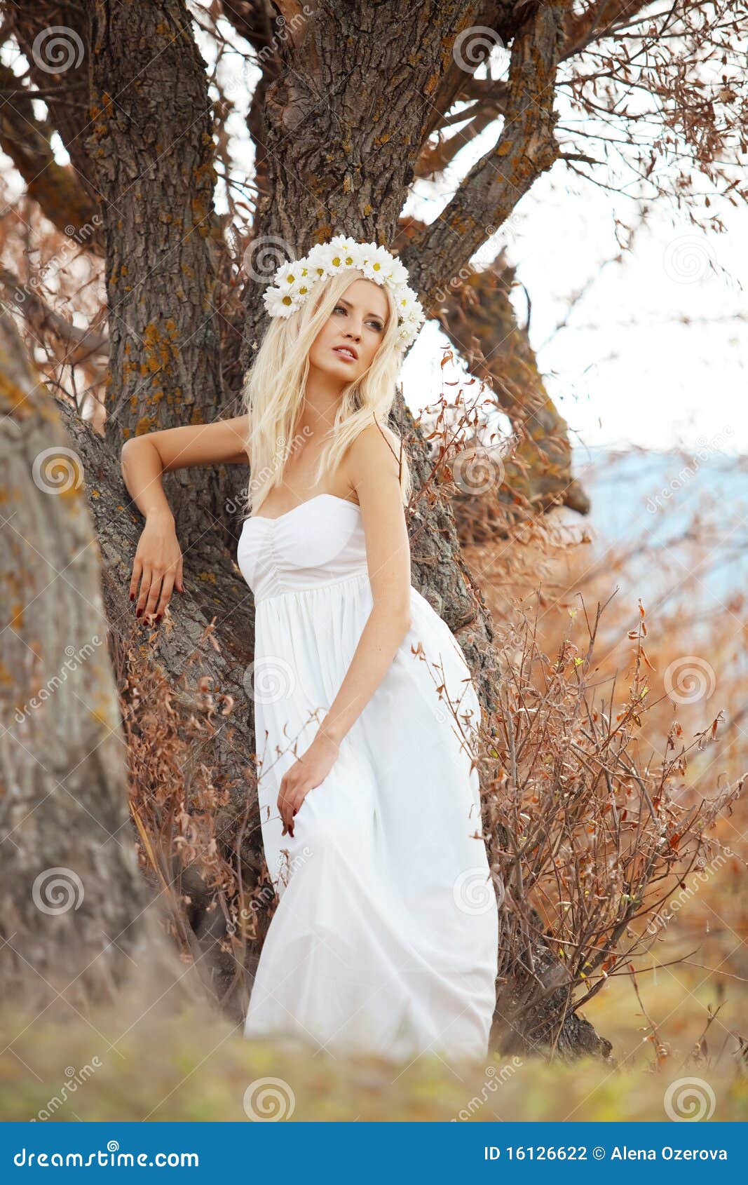 Autumn nymph stock photo. Image of floral, dress, fashion - 16126622