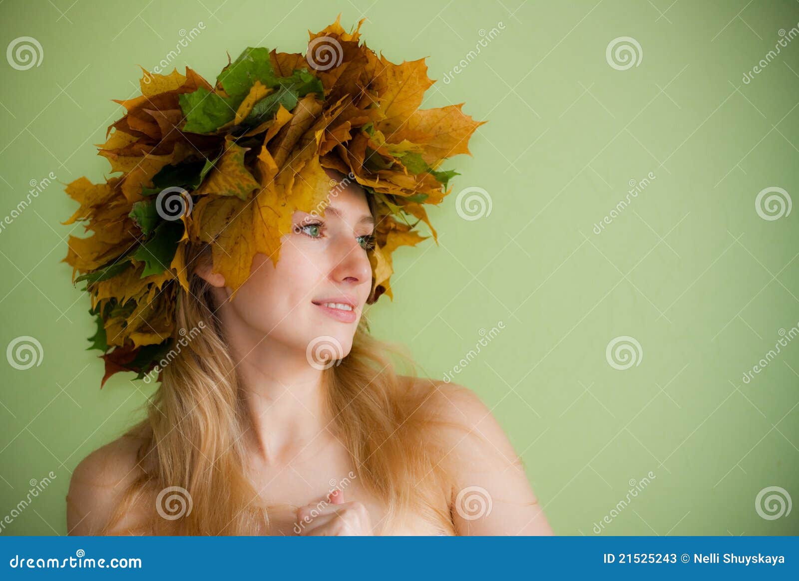 Autumn nymph stock image. Image of face, girl, garland - 21525243