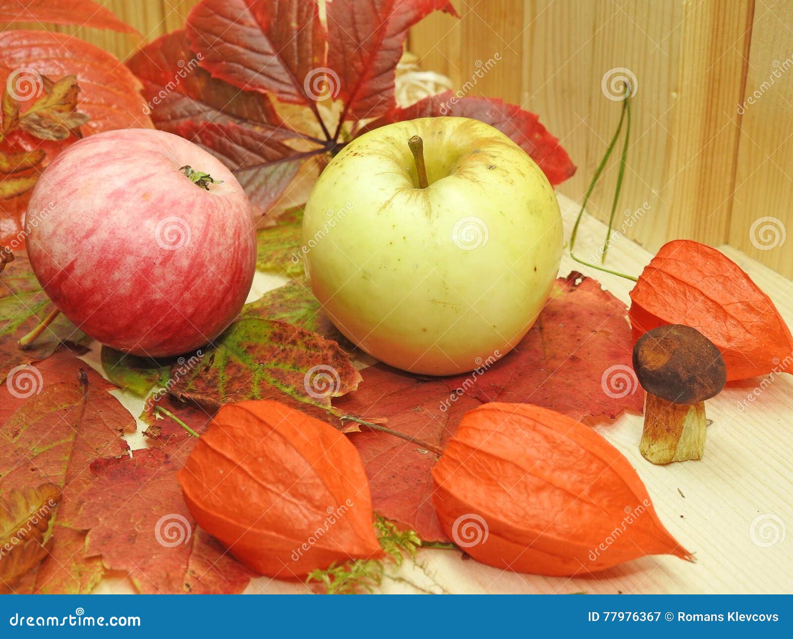 Autumn Objects Abstract Composition Stock Image - Image of chestnut ...