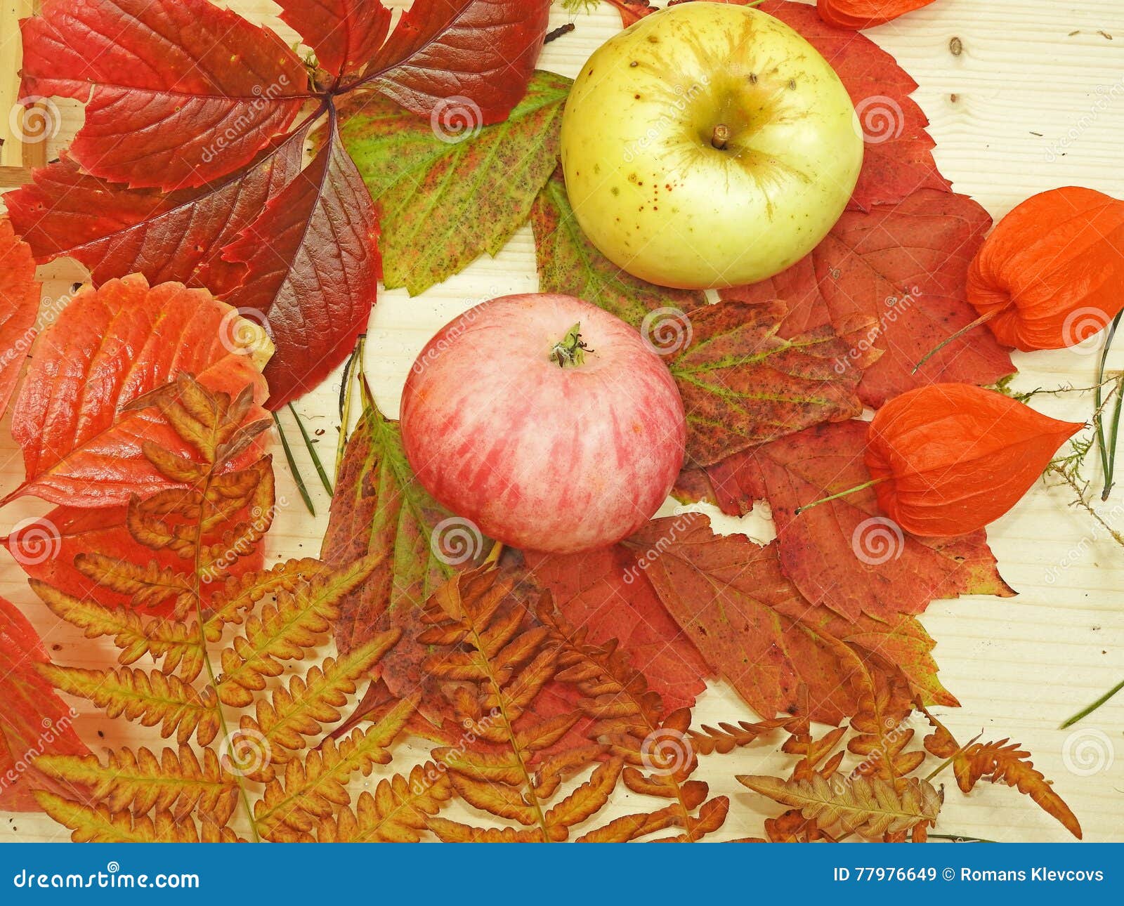 Autumn Objects Abstract Composition Stock Image - Image of fire ...