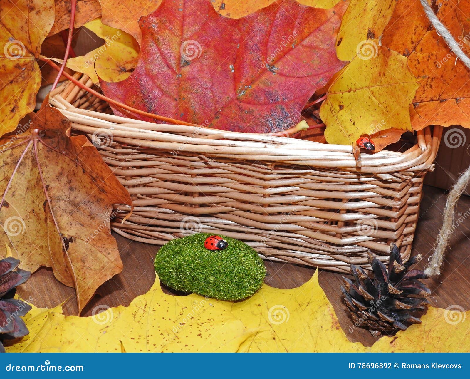 Autumn Objects Abstract Composition Stock Photo - Image of autumn ...