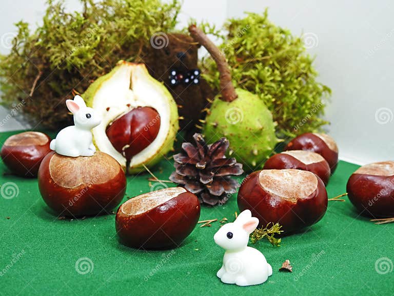 Autumn objects composition stock photo. Image of decay - 77877466