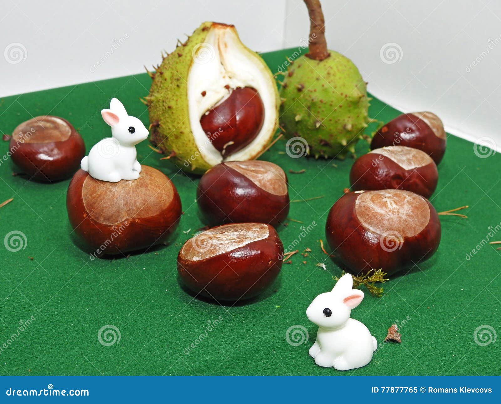 Autumn objects composition stock image. Image of isolated - 77877765