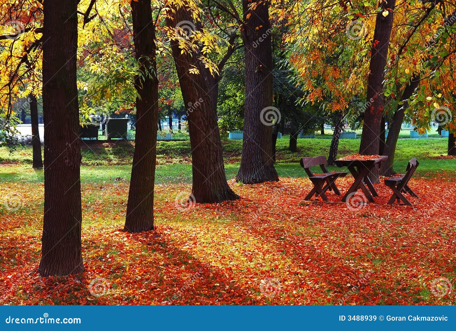 Autumn in October stock image. Image of branches, grass - 3488939