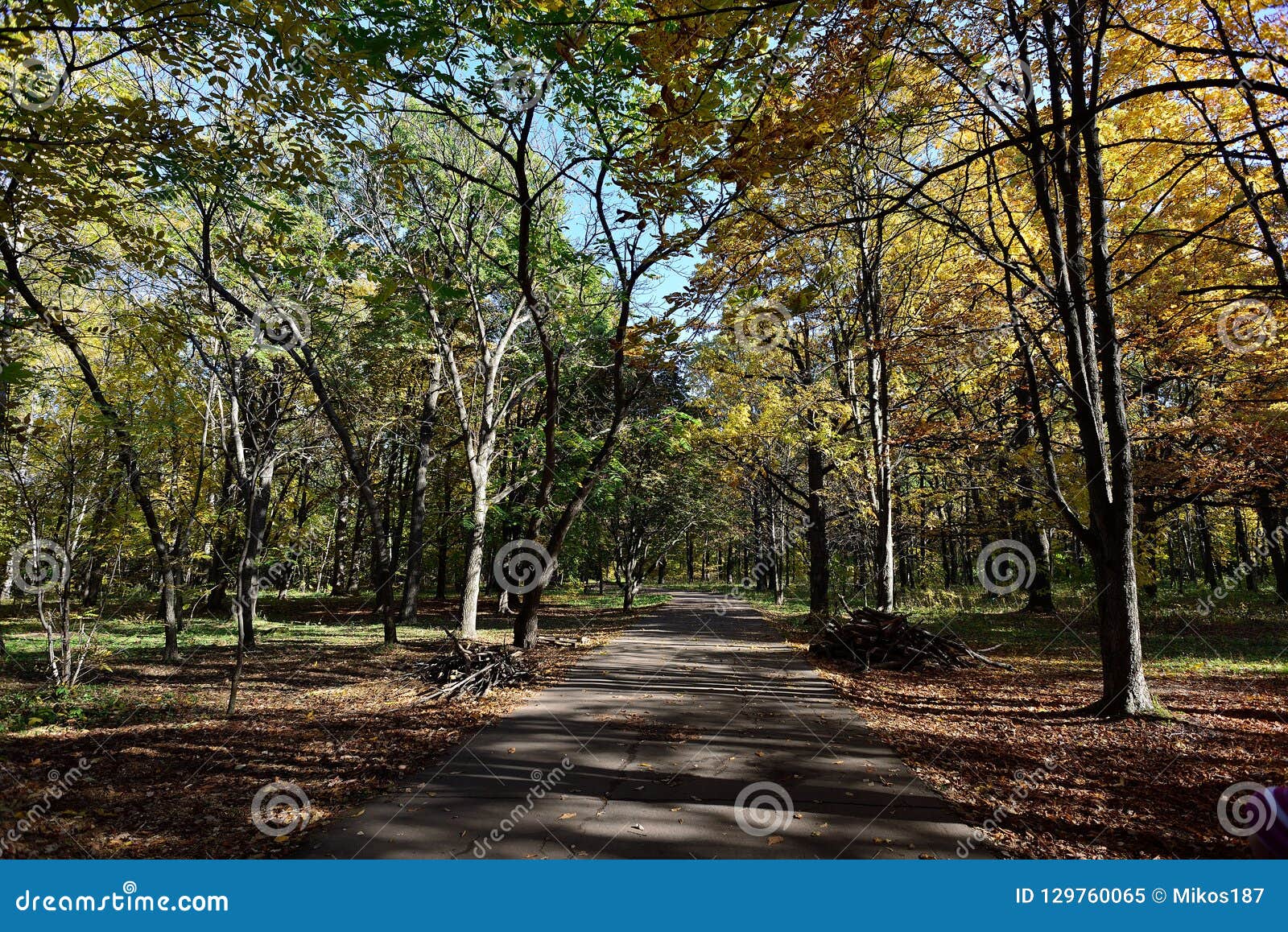 Autumn in October stock image. Image of grass, forest - 129760065
