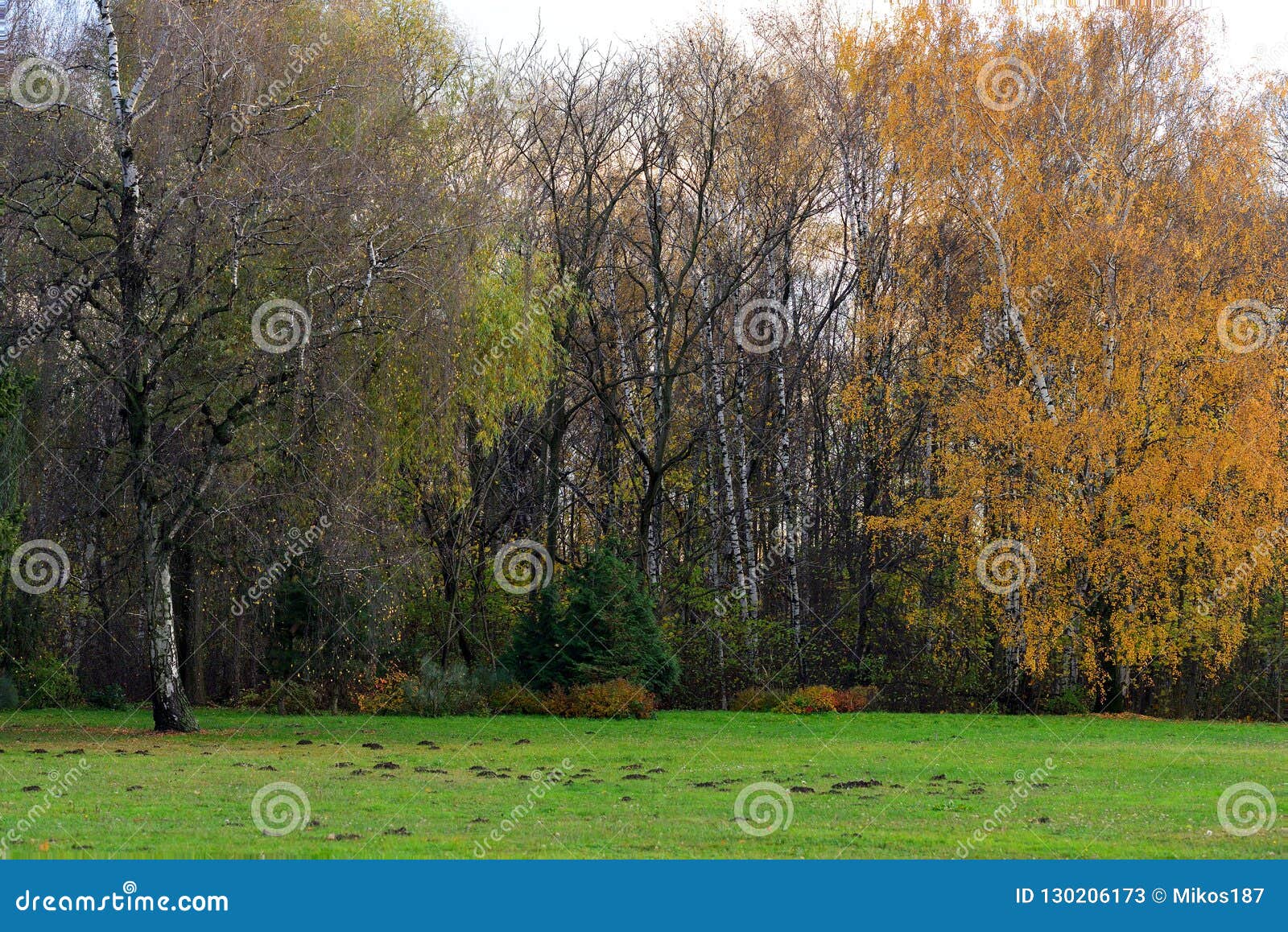 Autumn in October stock image. Image of grass, scenic - 130206173