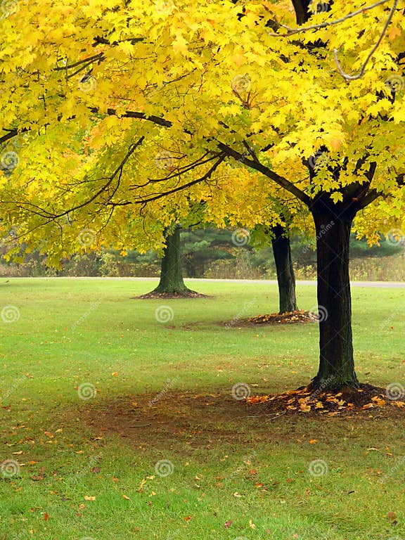 Autumn in Ohio stock image. Image of park, beautiful, landscape - 278137