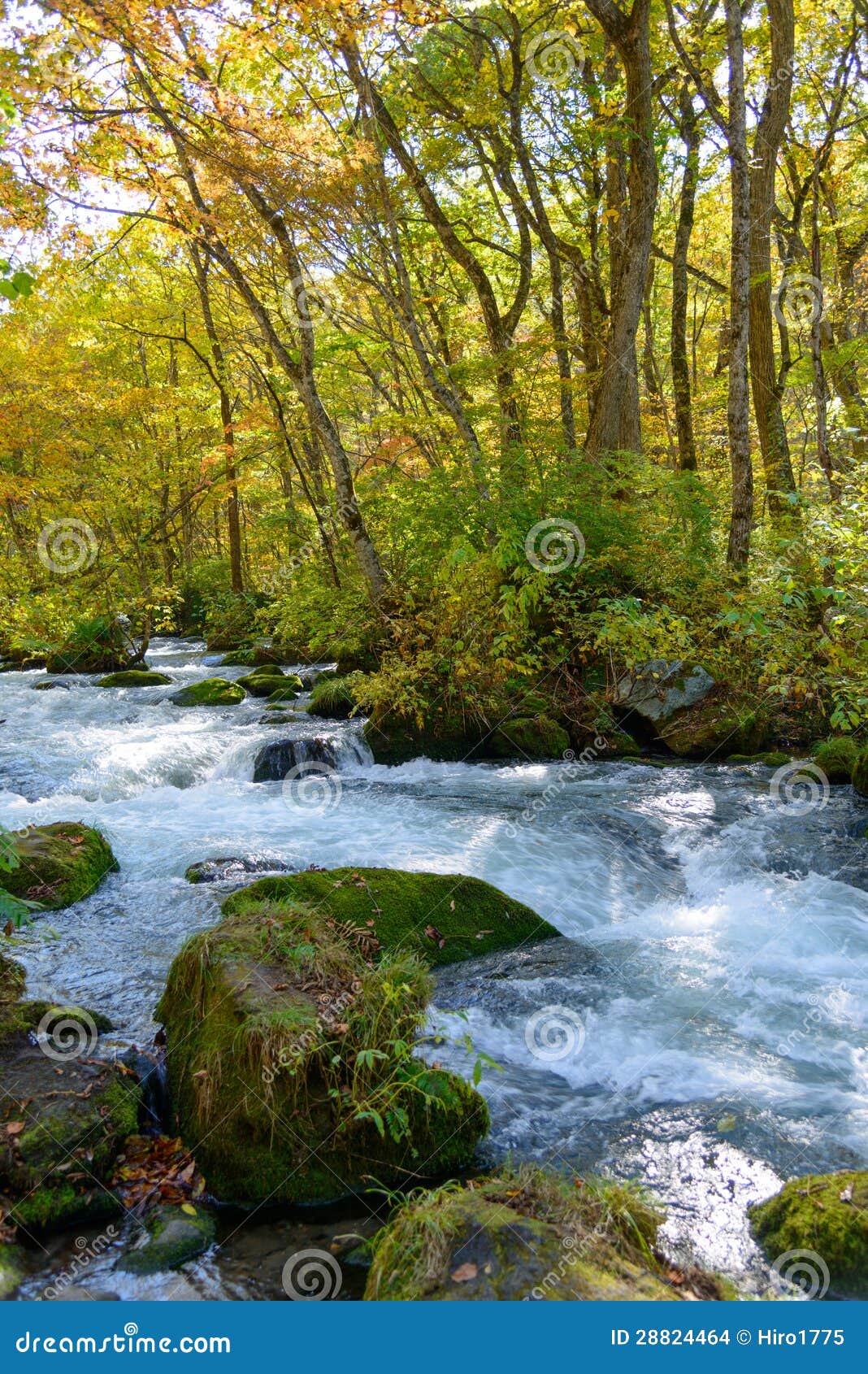 Autumn of Oirase Gorge in Aomori Pref. Stock Photo - Image of waterfall, lake: 28824464