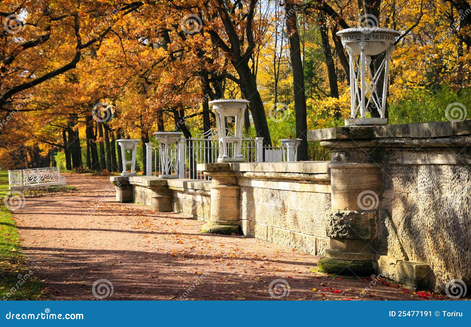 Autumn in old park stock image. Image of light, green - 25477191