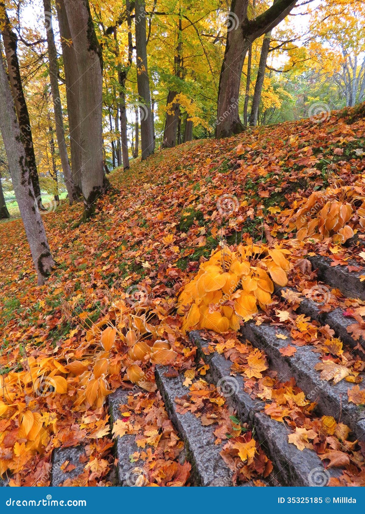 Autumn stock image. Image of trees, stone, yellow, park - 35325185