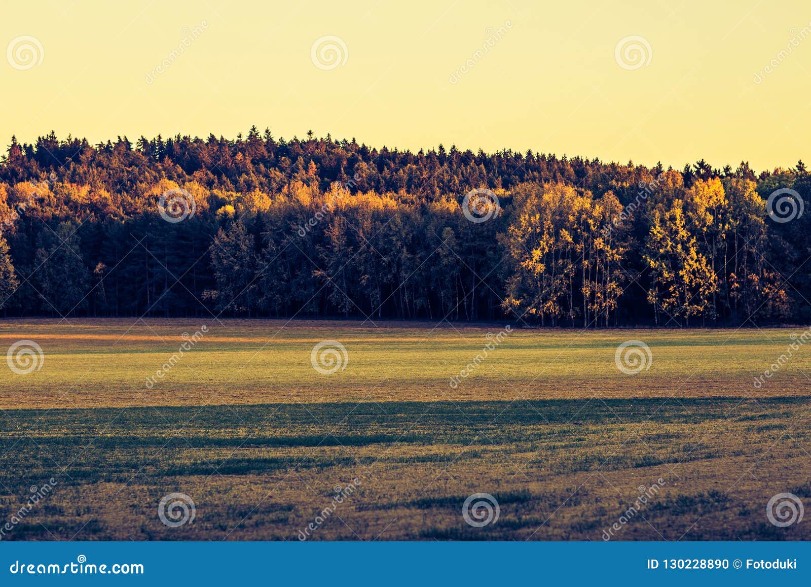 Autumn Outdoor Nature Scene with Tree Stock Photo - Image of colorful ...