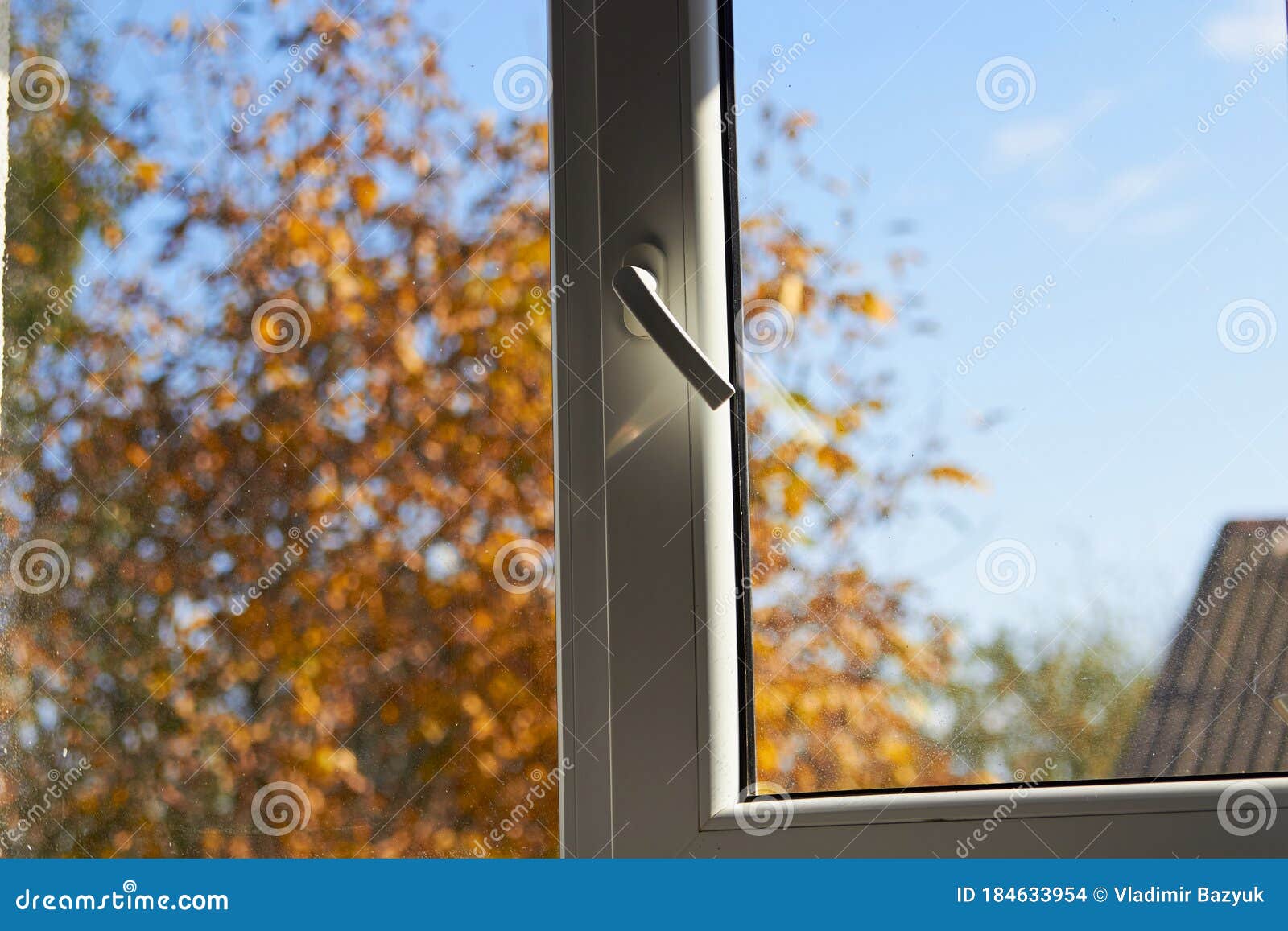 Autumn Outside the Window,autumn Came Outside the Tree Window Yellowed ...