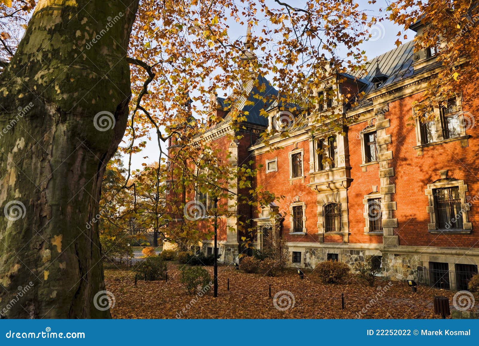 Autumn of the palace stock photo. Image of forest, autumn - 22252022