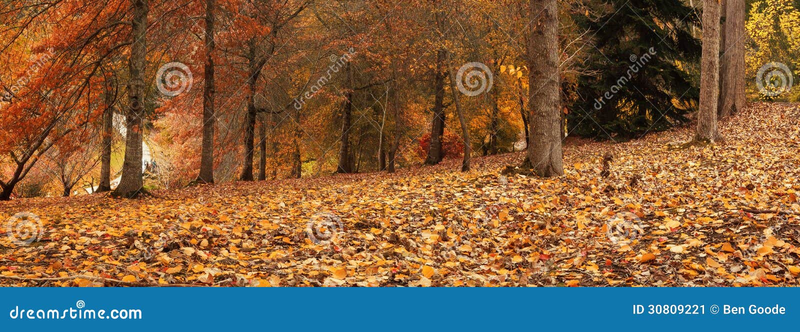 Autumn Panorama 2 stock image. Image of landscape, color - 30809221