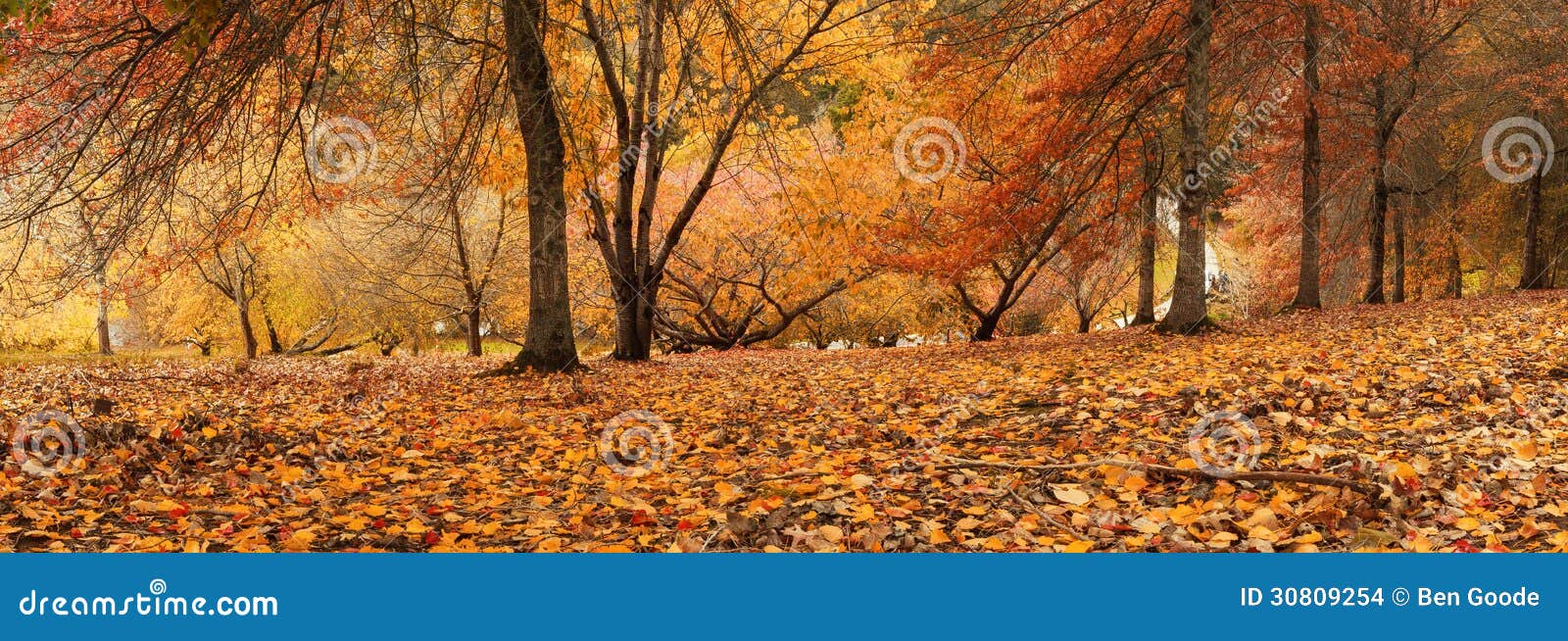Autumn Panorama stock photo. Image of tourism, leaves - 30809254