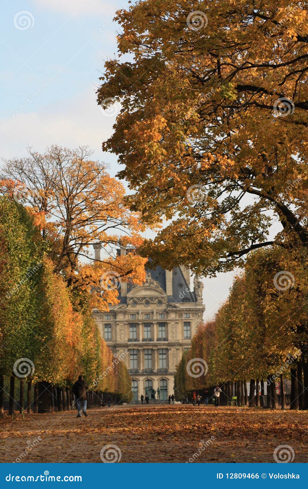 Autumn in Paris stock photo. Image of leaves, autumn - 12809466
