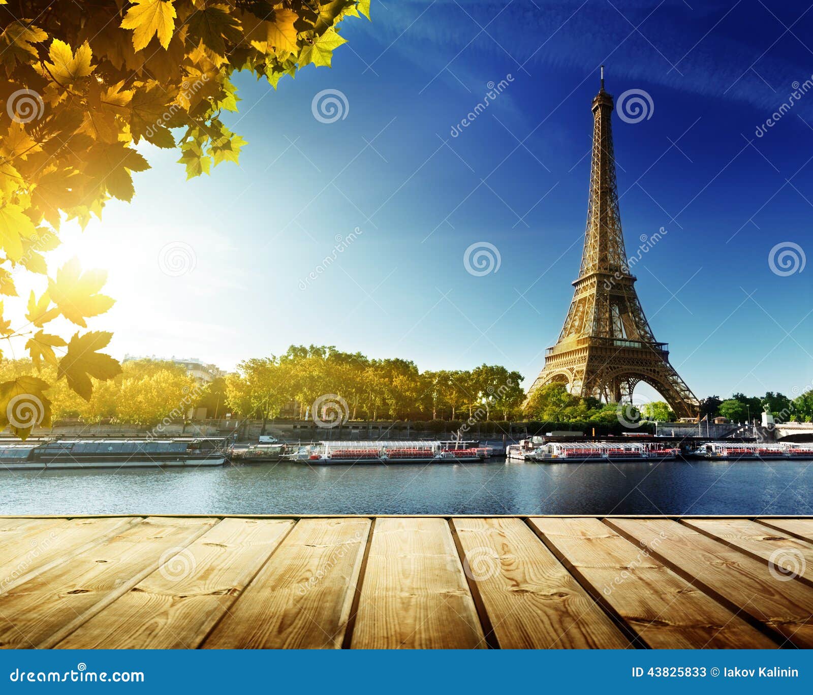 Autumn in Paris stock image. Image of backdrop, brown - 43825833